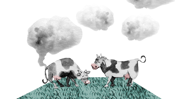 Debate: Are Farting Cows Killing Our Planet? - Curious Earth ...