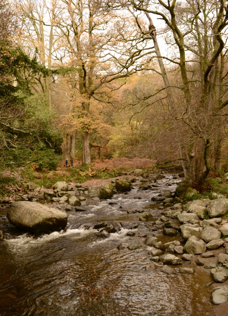 10 Simple and sustainable ways to connect with autumn - Curious Earth